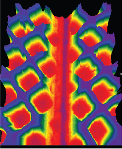Understanding Anilox Scoring: What, Why, How?
