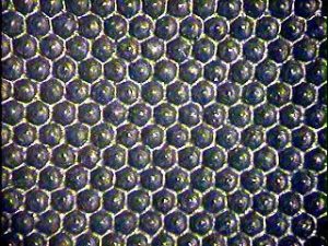 Anilox Roll Technology for Printing Garment Label, Textile Ribbon