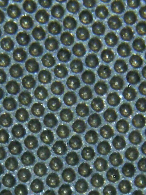 Anilox Rolls Performance: What Why and How?